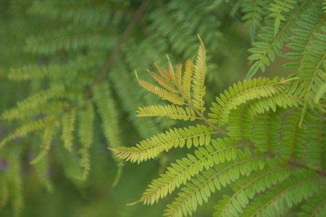 Lay Franciscans - St Francis Retreat Centre